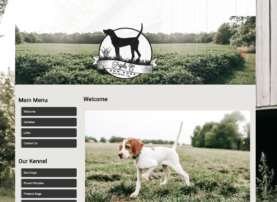 Welcome [www.surrattsquarterhorses.com]